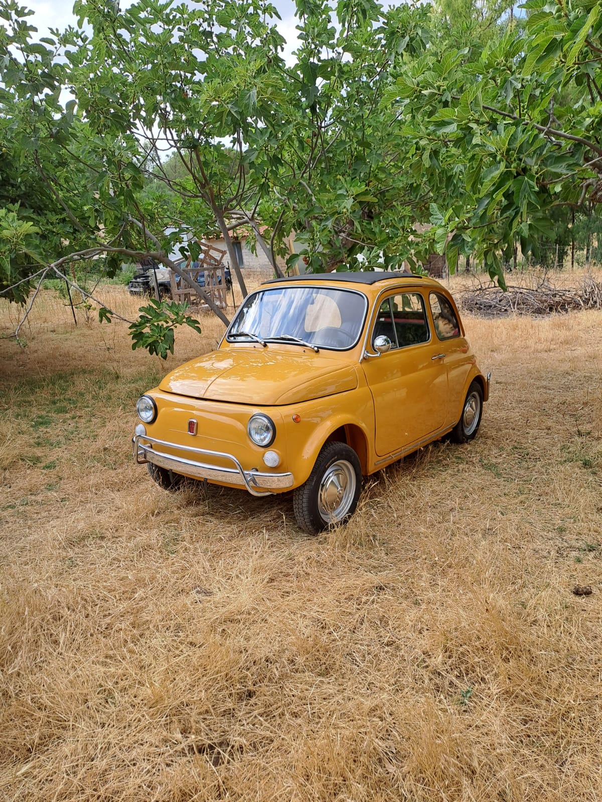 1968 Fiat 500 L - Garage Fiat 500